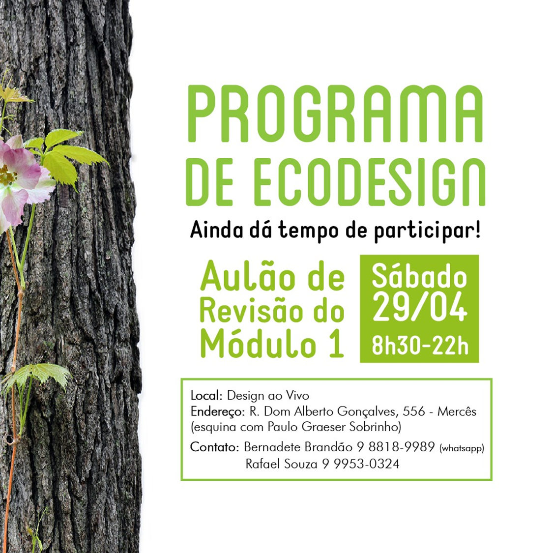 Você gostaria de fazer o Programa de Ecodesign mas perdeu o módulo 1? Ainda há tempo para ...